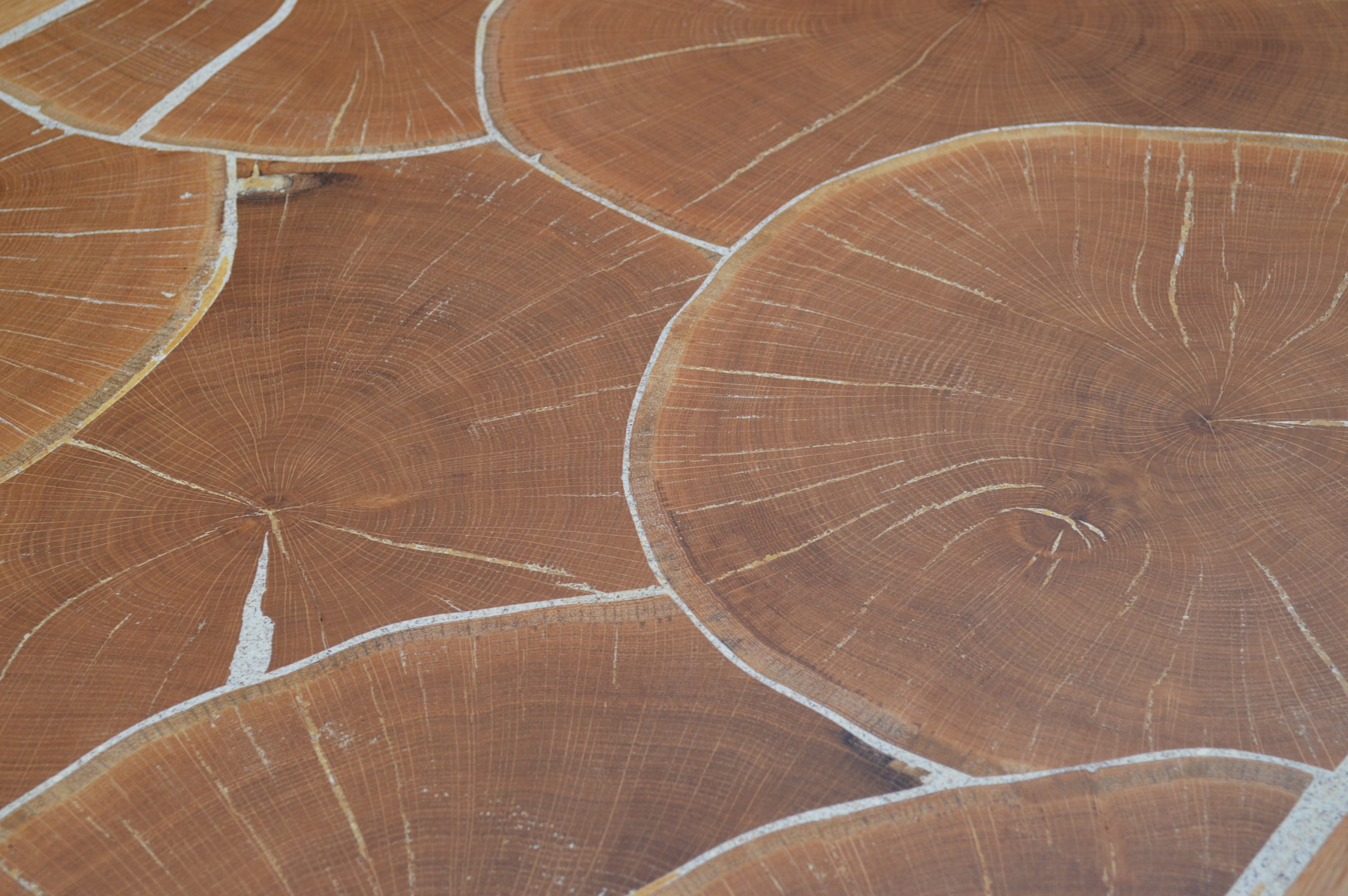 Gallery – Tree Log Design