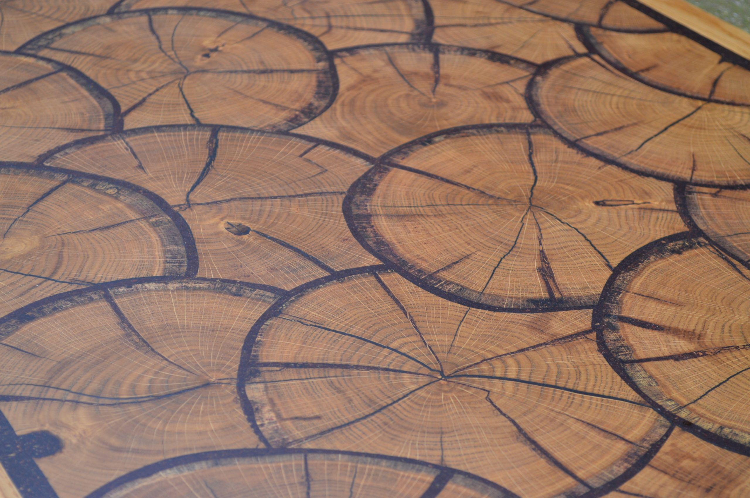 Gallery – Tree Log Design