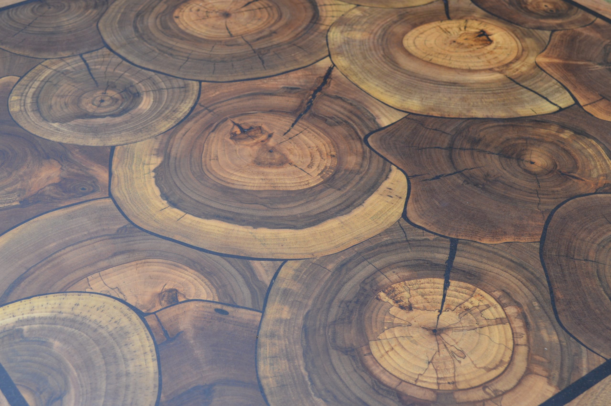 Gallery – Tree Log Design