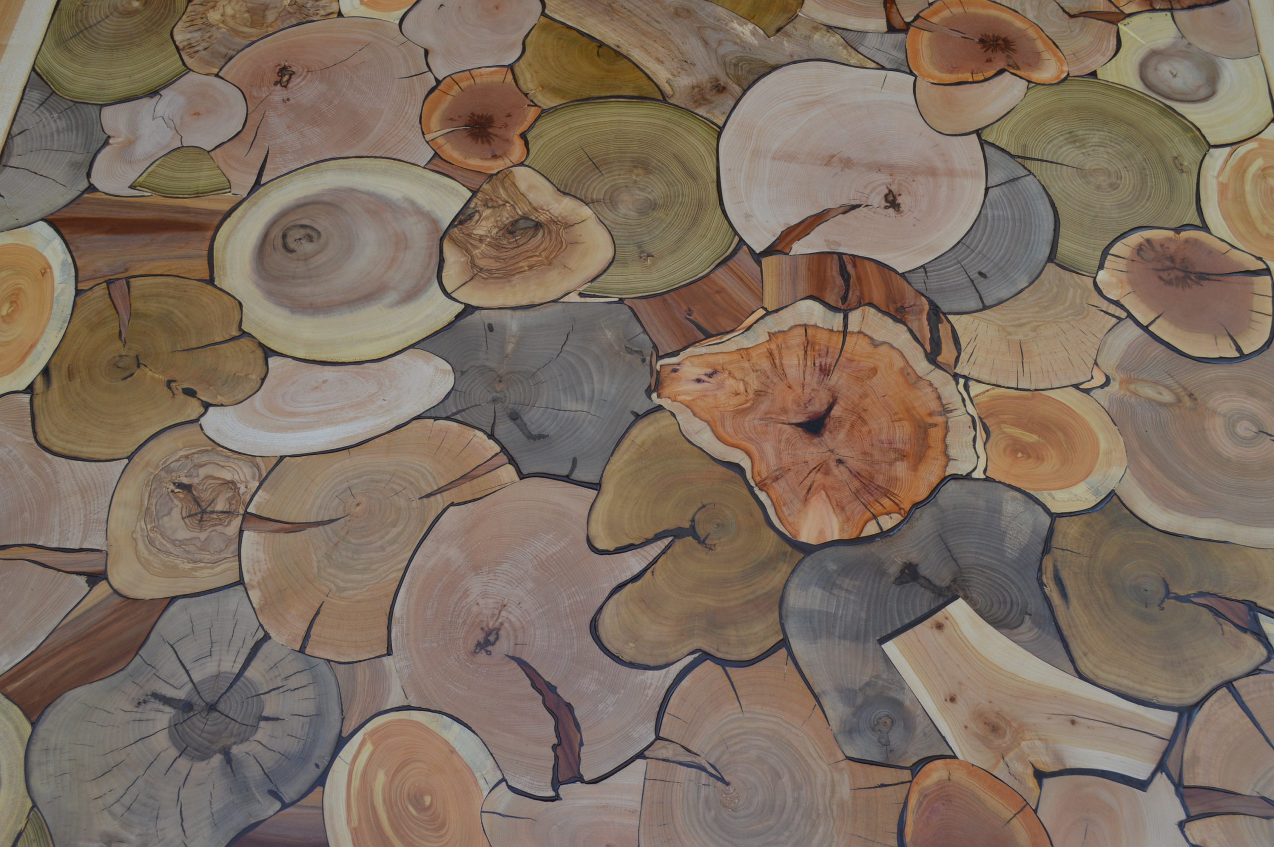 Gallery – Tree Log Design