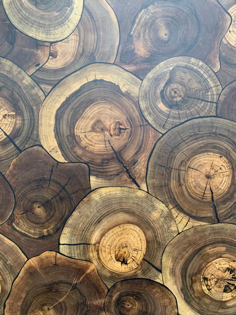 Gallery – Tree Log Design