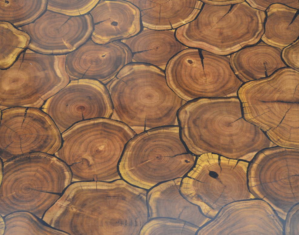 Gallery – Tree Log Design