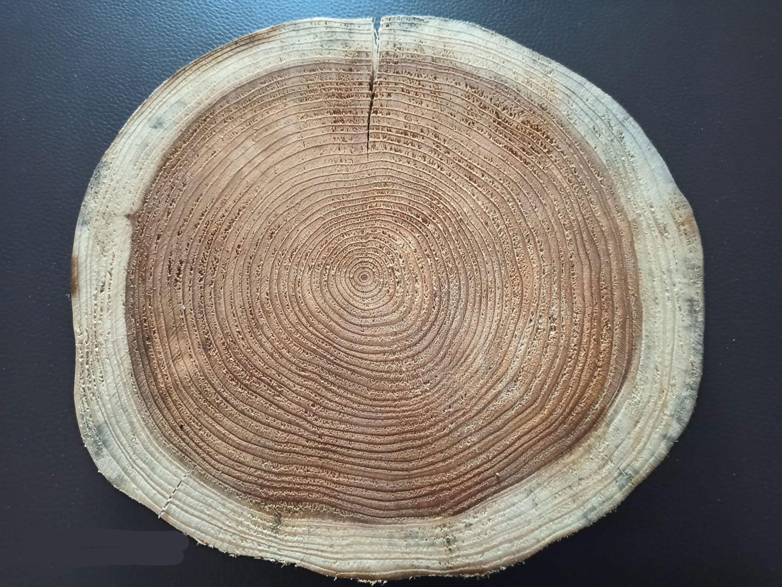 Tree Log Design