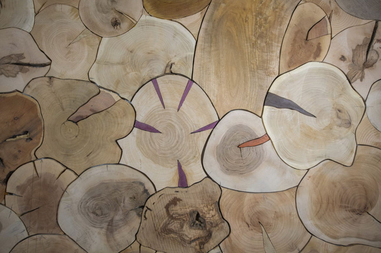 Gallery – Tree Log Design